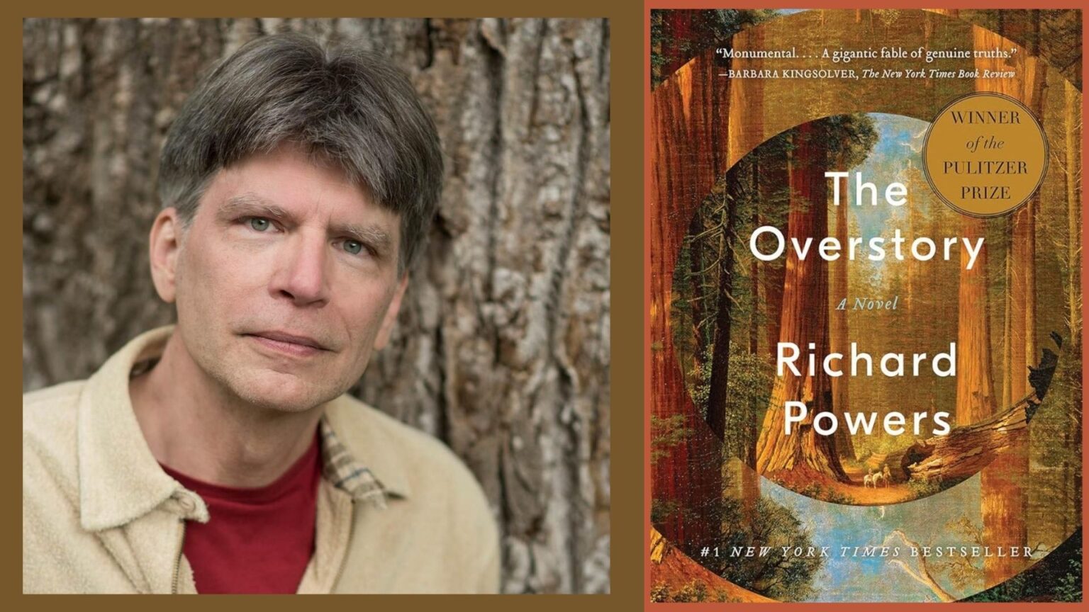 The Overstory Review: Is This Pulitzer Winner Worth It? - TheBookSuite