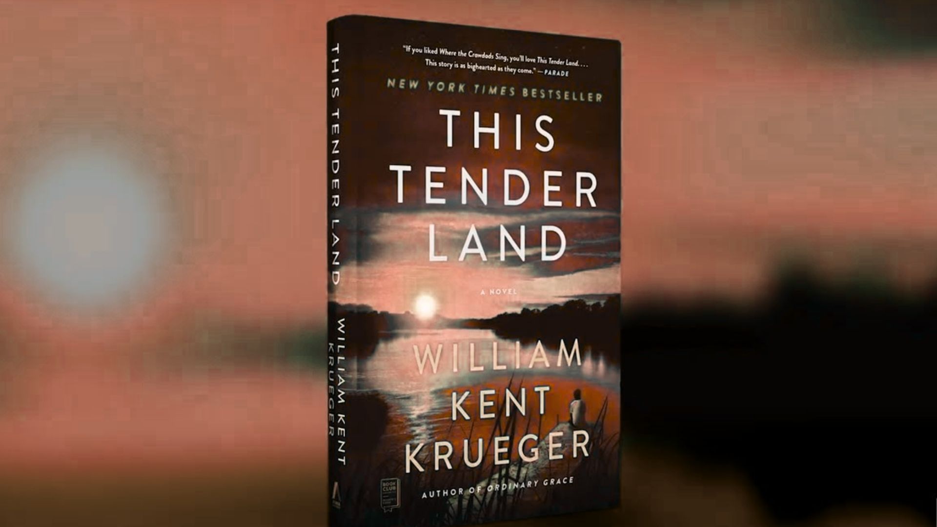This Tender Land Summary: Courage, Hope & Friendship - TheBookSuite