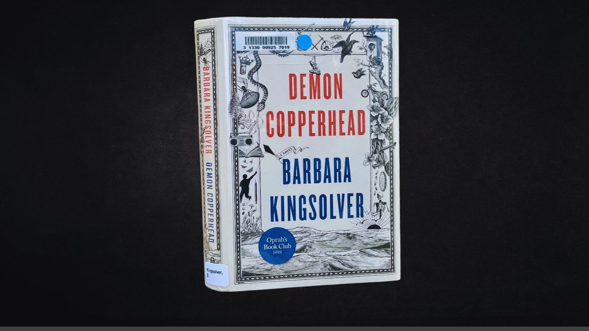 Demon Copperhead Summary: A Powerful Modern Classic - TheBookSuite