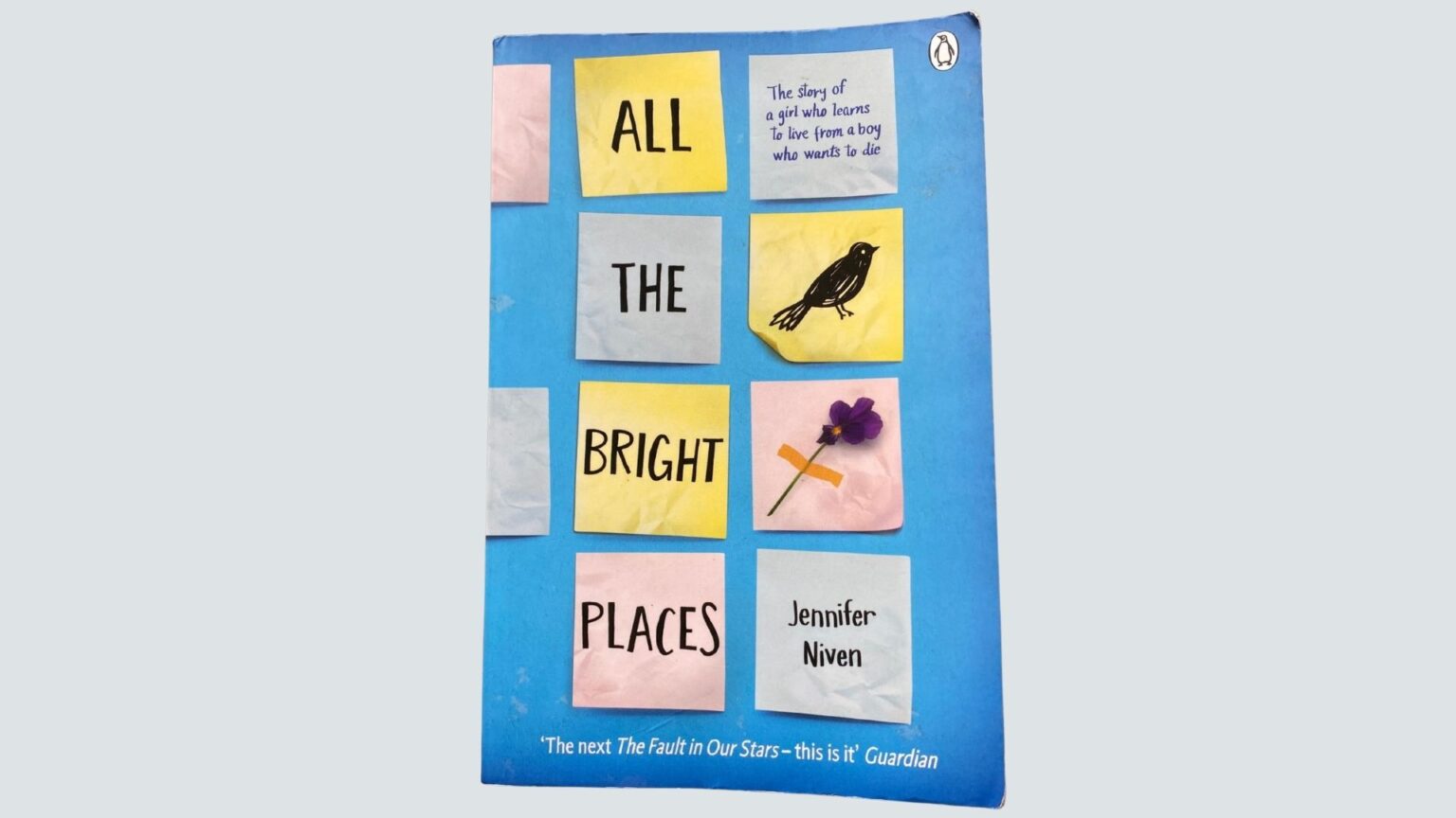 All the Bright Places Summary: A Clear Story Guide - TheBookSuite
